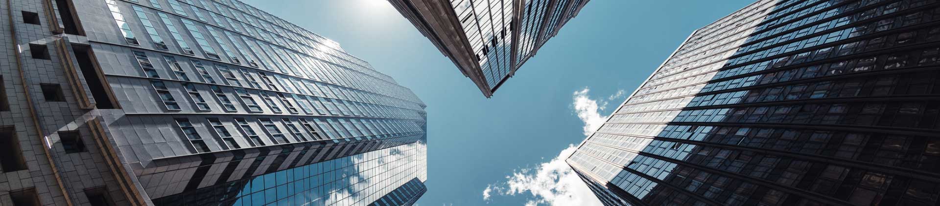 News & Views - Wedbush